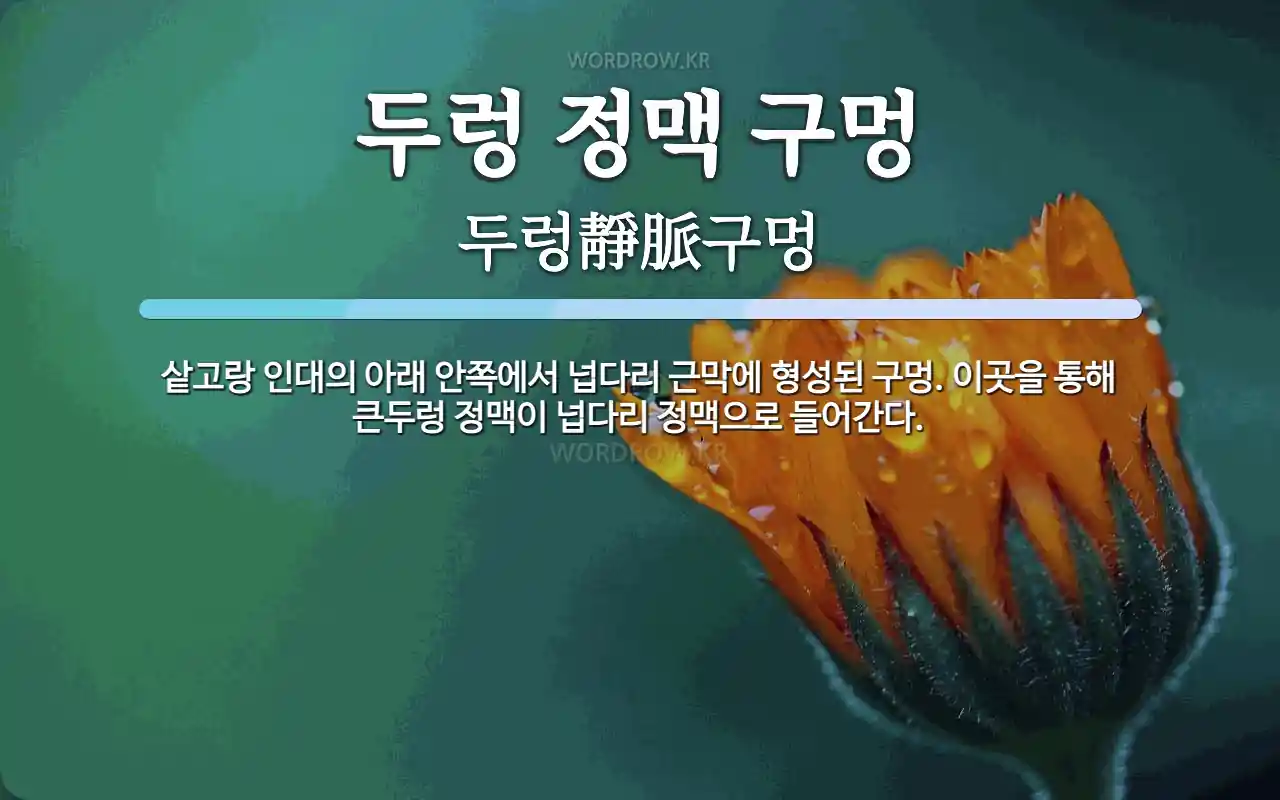 두렁 정맥 구멍 뜻 샅고랑 인대의 아래 안쪽에서 넙다리 근막에 형성된 구멍 이곳을 통해 큰두렁 정맥이 넙다리