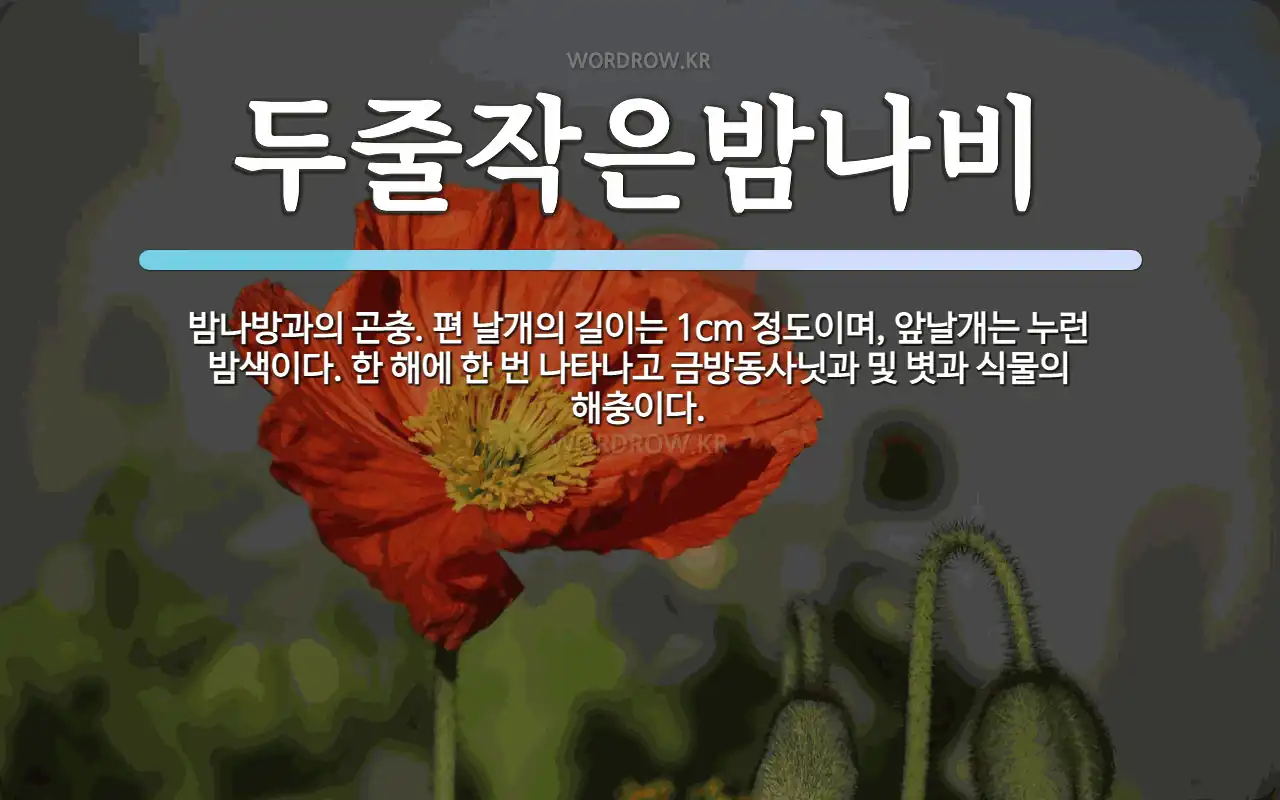두줄작은밤나비 뜻 밤나방과의 곤충 편 날개의 길이는 1cm 정도이며 앞날개는 누런 밤색이다 한 해에 한