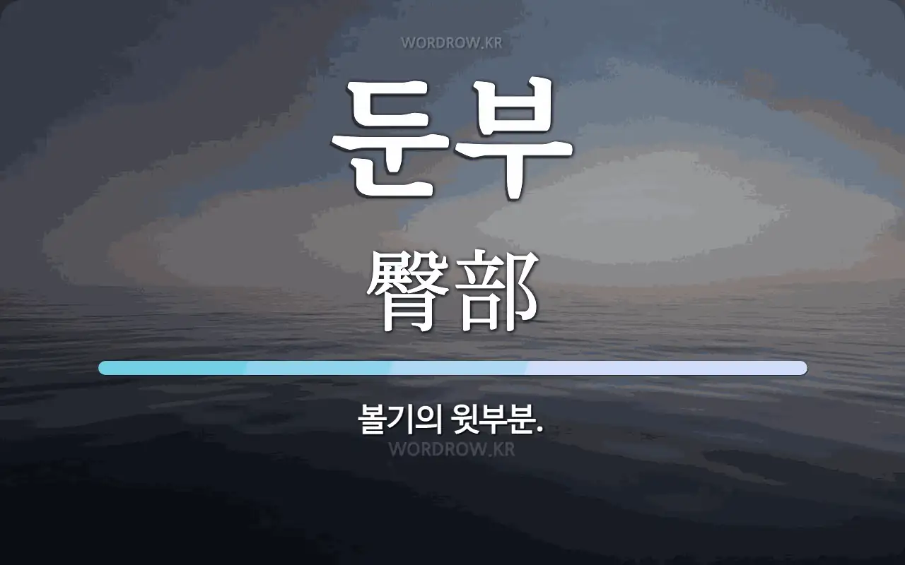 둔부 뜻 볼기의 윗부분