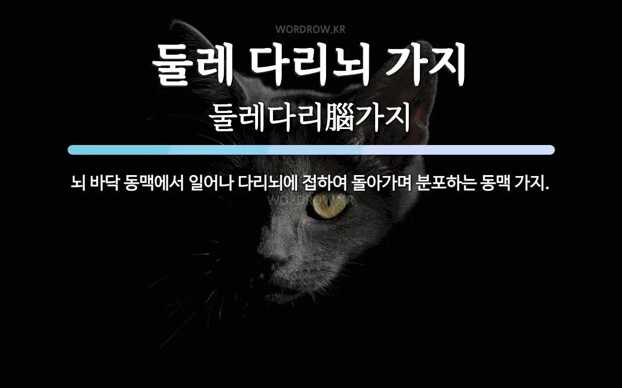 둘레 다리뇌 가지 뜻 뇌 바닥 동맥에서 일어나 다리뇌에 접하여 돌아가며 분포하는 동맥 가지
