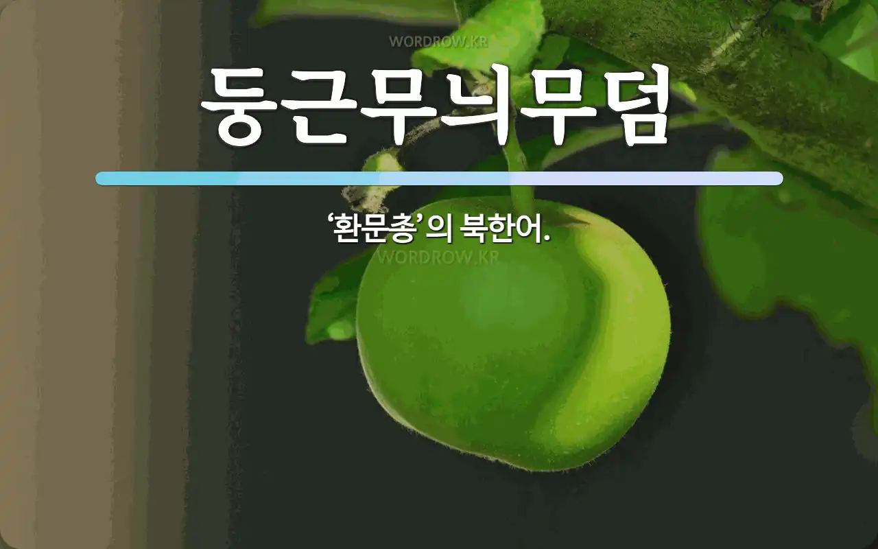 둥근무늬무덤 뜻 ‘환문총의 북한어