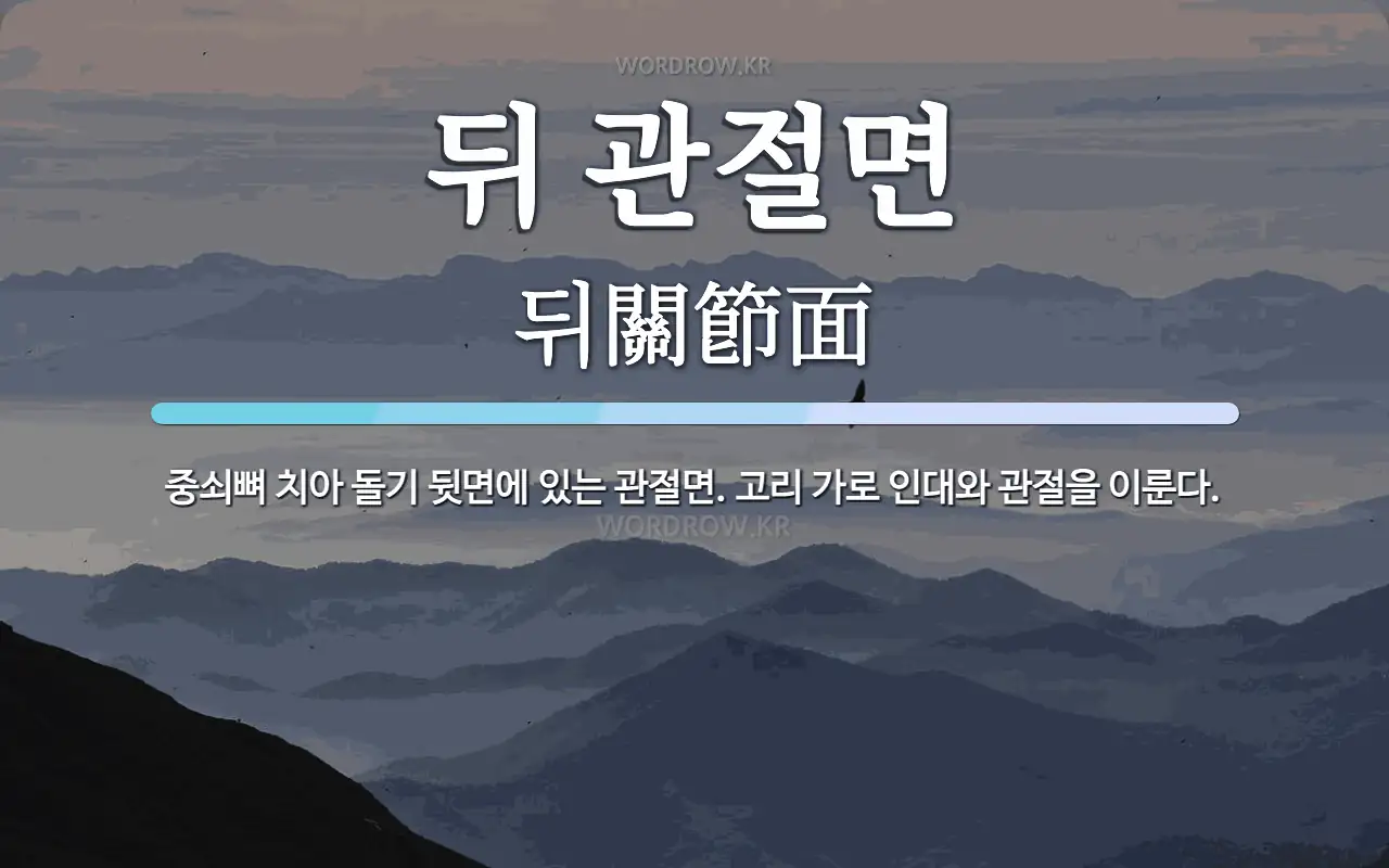 뒤 관절면 뜻 중쇠뼈 치아 돌기 뒷면에 있는 관절면 고리 가로 인대와 관절을 이룬다