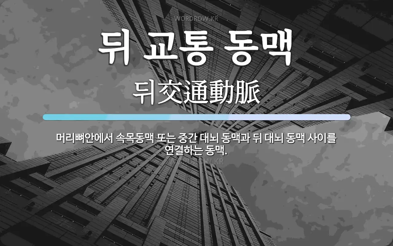 뒤 교통 동맥 뜻 머리뼈안에서 속목동맥 또는 중간 대뇌 동맥과 뒤 대뇌 동맥 사이를 연결하는 동맥