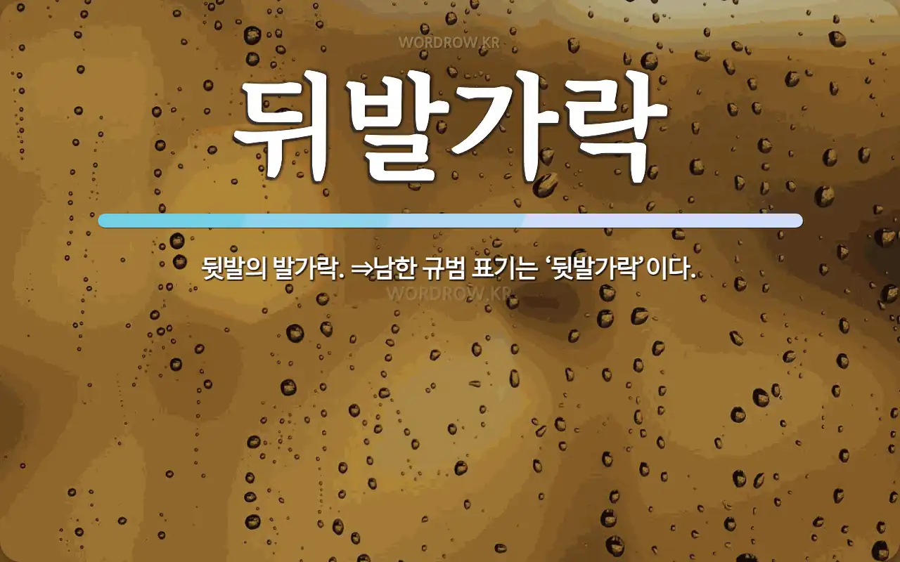 뒤발가락 뜻 뒷발의 발가락 ⇒남한 규범 표기는 ‘뒷발가락이다