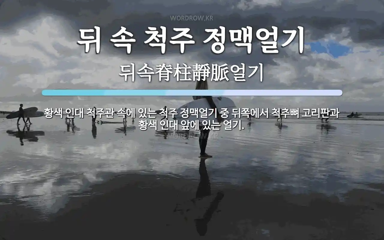뒤 속 척주 정맥얼기 뜻 황색 인대 척주관 속에 있는 척주 정맥얼기 중 뒤쪽에서 척추뼈 고리판과 황색 인대 앞에 있
