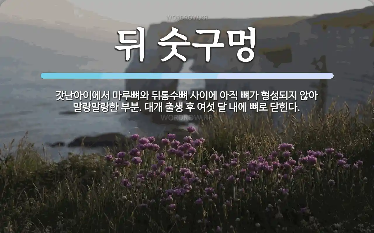 뒤 숫구멍 뜻 갓난아이에서 마루뼈와 뒤통수뼈 사이에 아직 뼈가 형성되지 않아 말랑말랑한 부분 대개 출생