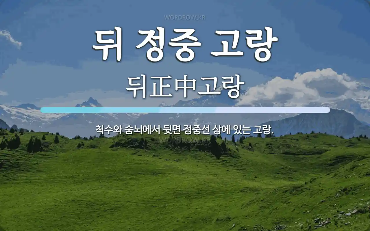 뒤 정중 고랑 뜻 척수와 숨뇌에서 뒷면 정중선 상에 있는 고랑