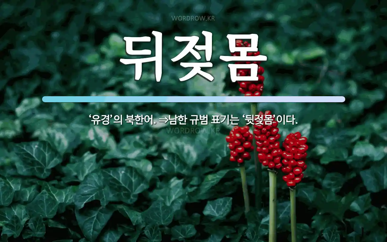 뒤젖몸 뜻 ‘유경의 북한어 ⇒남한 규범 표기는 ‘뒷젖몸이다