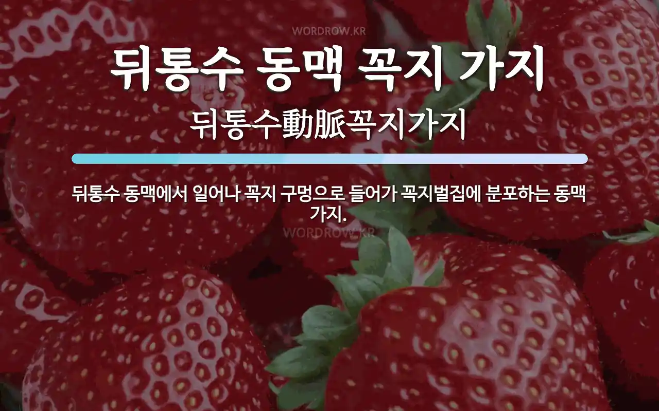 뒤통수 동맥 꼭지 가지 뜻 뒤통수 동맥에서 일어나 꼭지 구멍으로 들어가 꼭지벌집에 분포하는 동맥 가지
