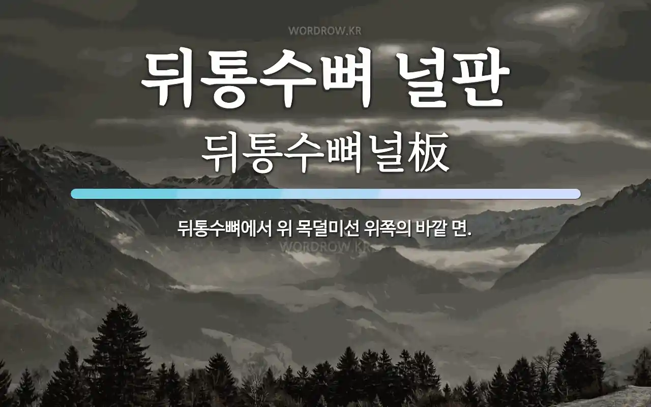 뒤통수뼈 널판 뜻 뒤통수뼈에서 위 목덜미선 위쪽의 바깥 면