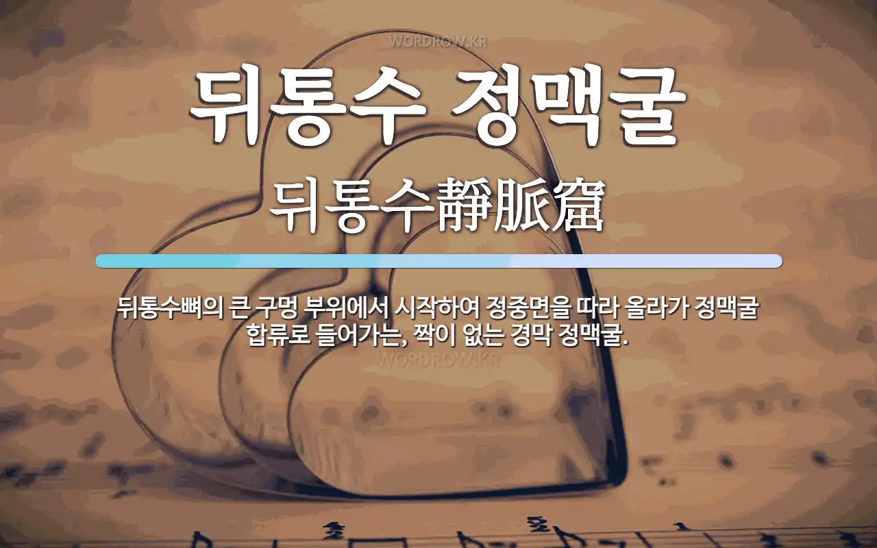 뒤통수 정맥굴 뜻 뒤통수뼈의 큰 구멍 부위에서 시작하여 정중면을 따라 올라가 정맥굴 합류로 들어가는 짝이