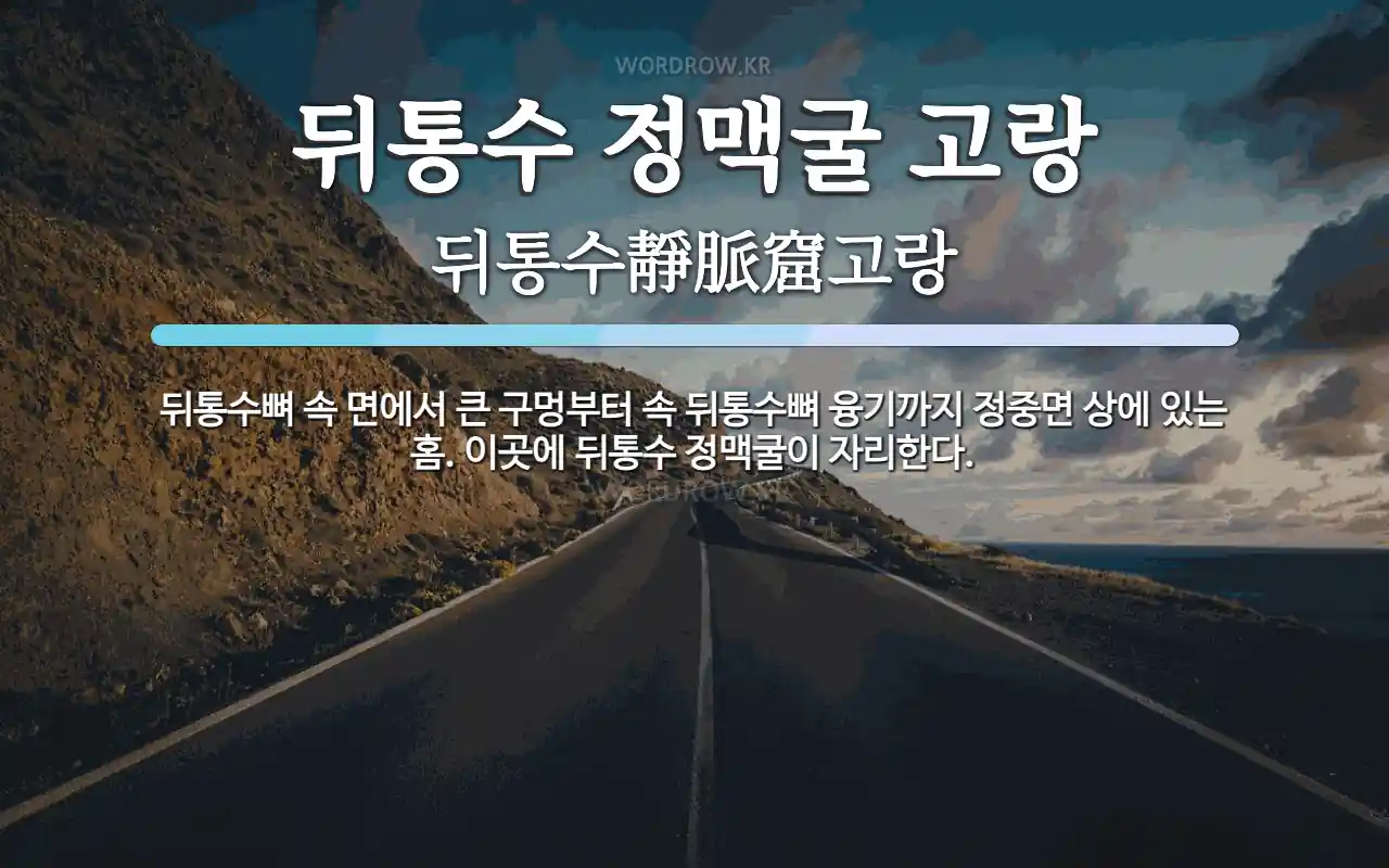 뒤통수 정맥굴 고랑 뜻 뒤통수뼈 속 면에서 큰 구멍부터 속 뒤통수뼈 융기까지 정중면 상에 있는 홈 이곳에 뒤통수