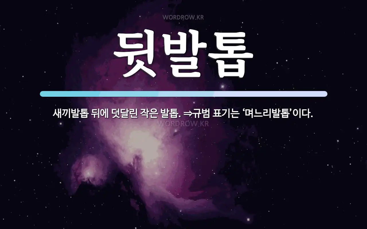 뒷발톱 뜻 새끼발톱 뒤에 덧달린 작은 발톱 ⇒규범 표기는 ‘며느리발톱이다