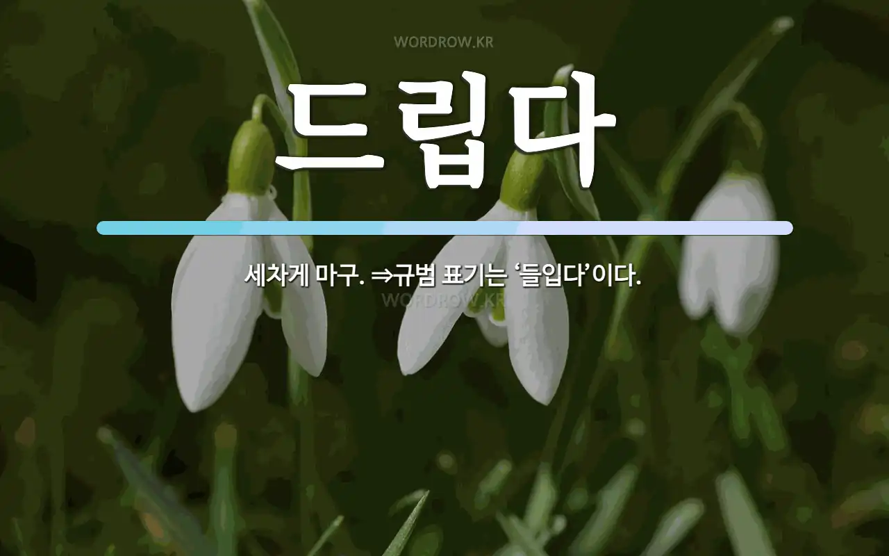 드립다 뜻 세차게 마구 ⇒규범 표기는 ‘들입다이다