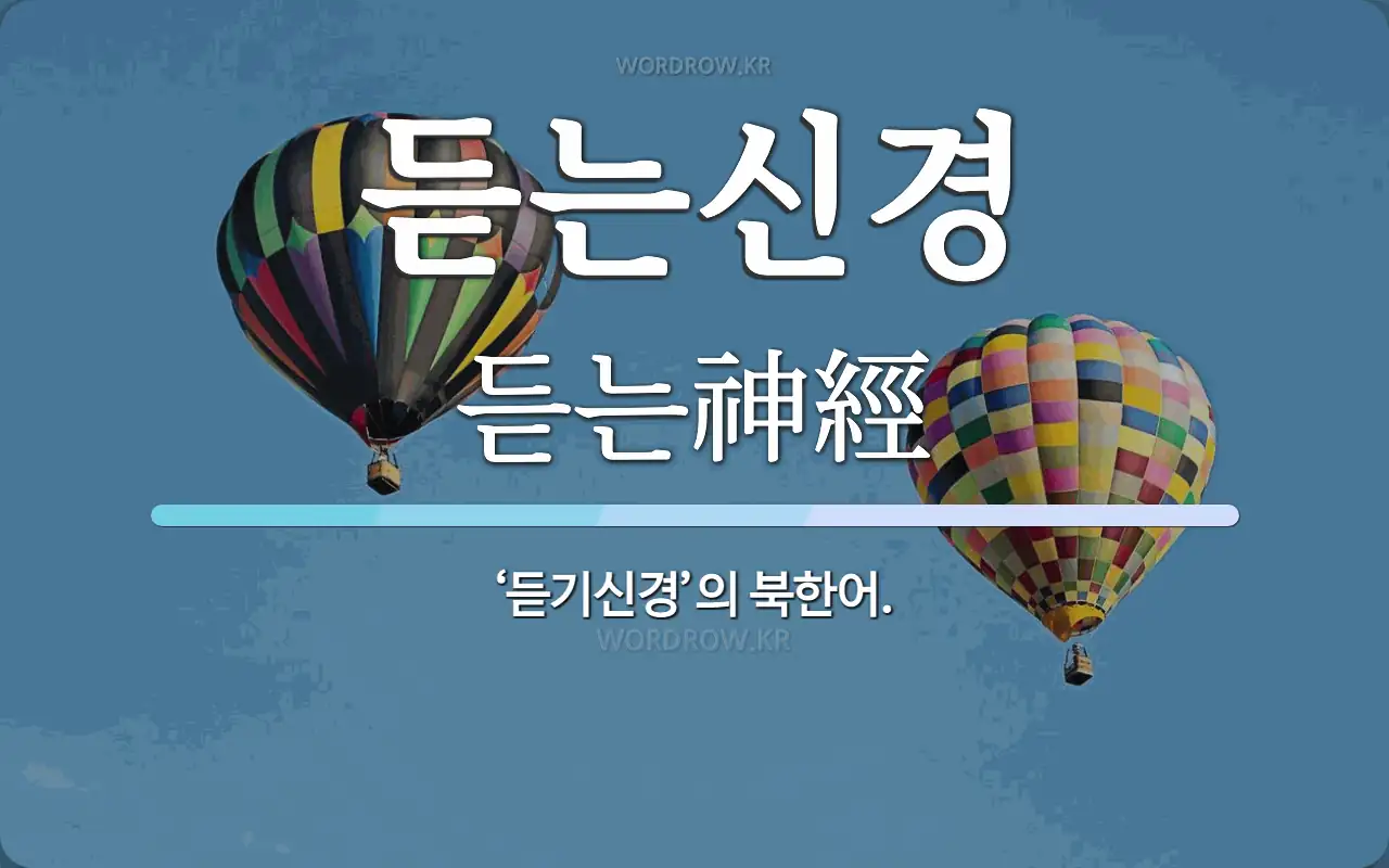듣는신경 뜻 ‘듣기신경의 북한어