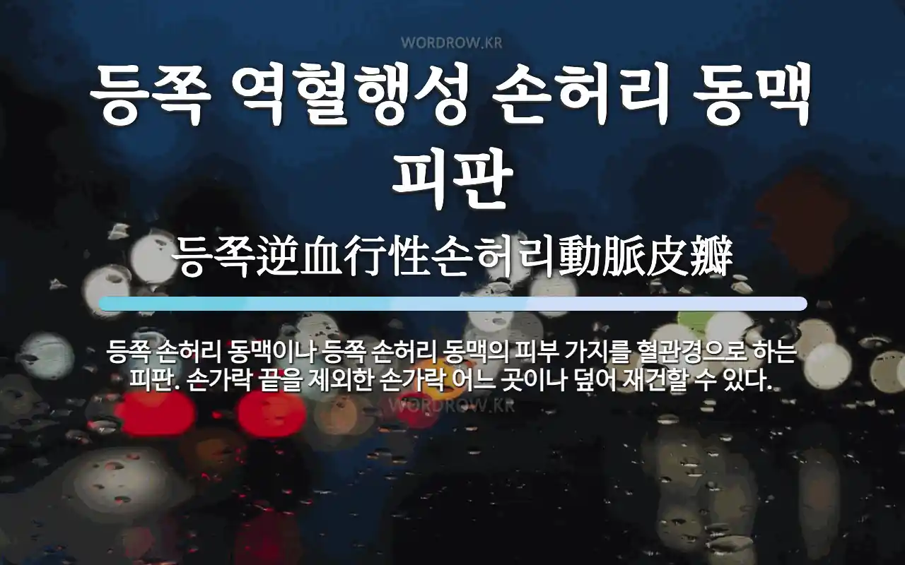 등쪽 역혈행성 손허리 동맥 피판 뜻 등쪽 손허리 동맥이나 등쪽 손허리 동맥의 피부 가지를 혈관경으로 하는 피판 손가락 끝을