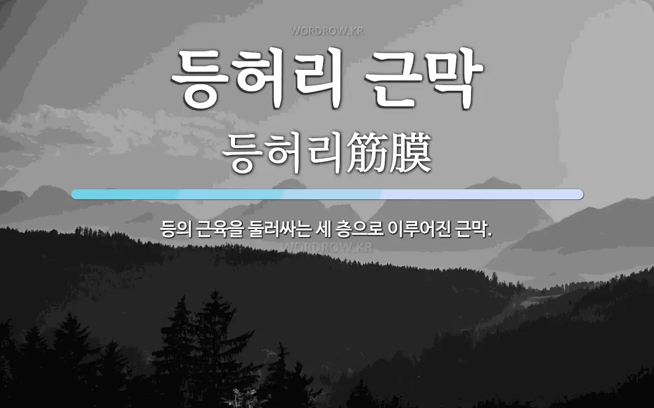 등허리 근막 뜻 등의 근육을 둘러싸는 세 층으로 이루어진 근막