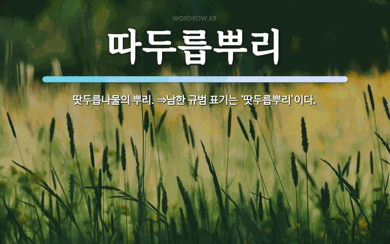 따두릅뿌리 뜻 땃두릅나물의 뿌리 ⇒남한 규범 표기는 ‘땃두릅뿌리이다
