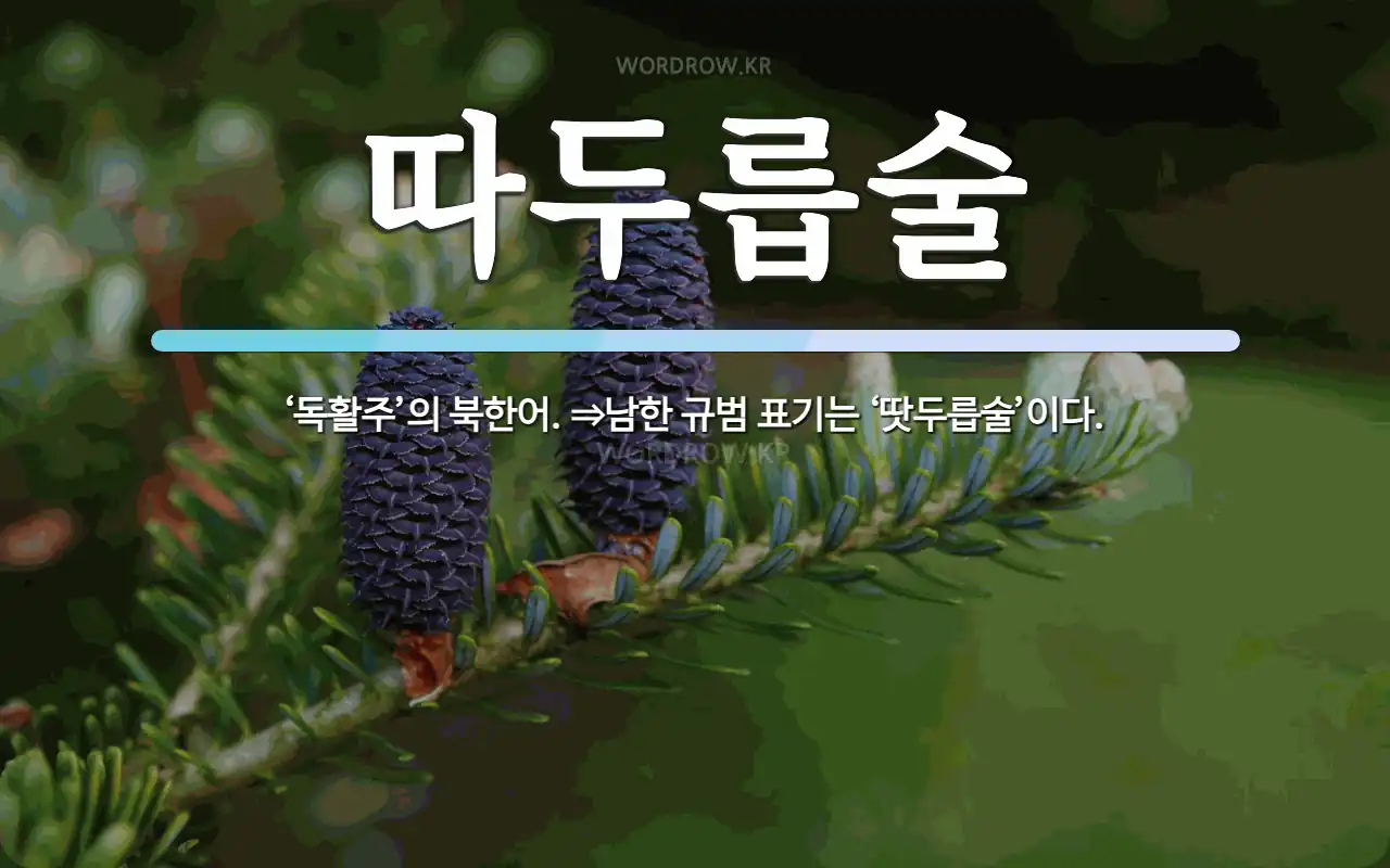 따두릅술 뜻 ‘독활주의 북한어 ⇒남한 규범 표기는 ‘땃두릅술이다