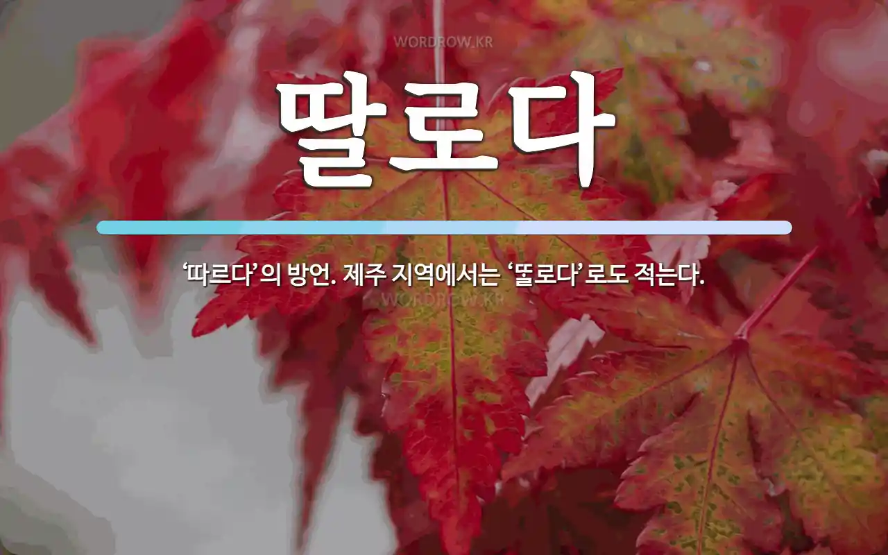 딸로다 뜻 ‘따르다의 방언 제주 지역에서는 ‘ue3e8로다로도 적는다