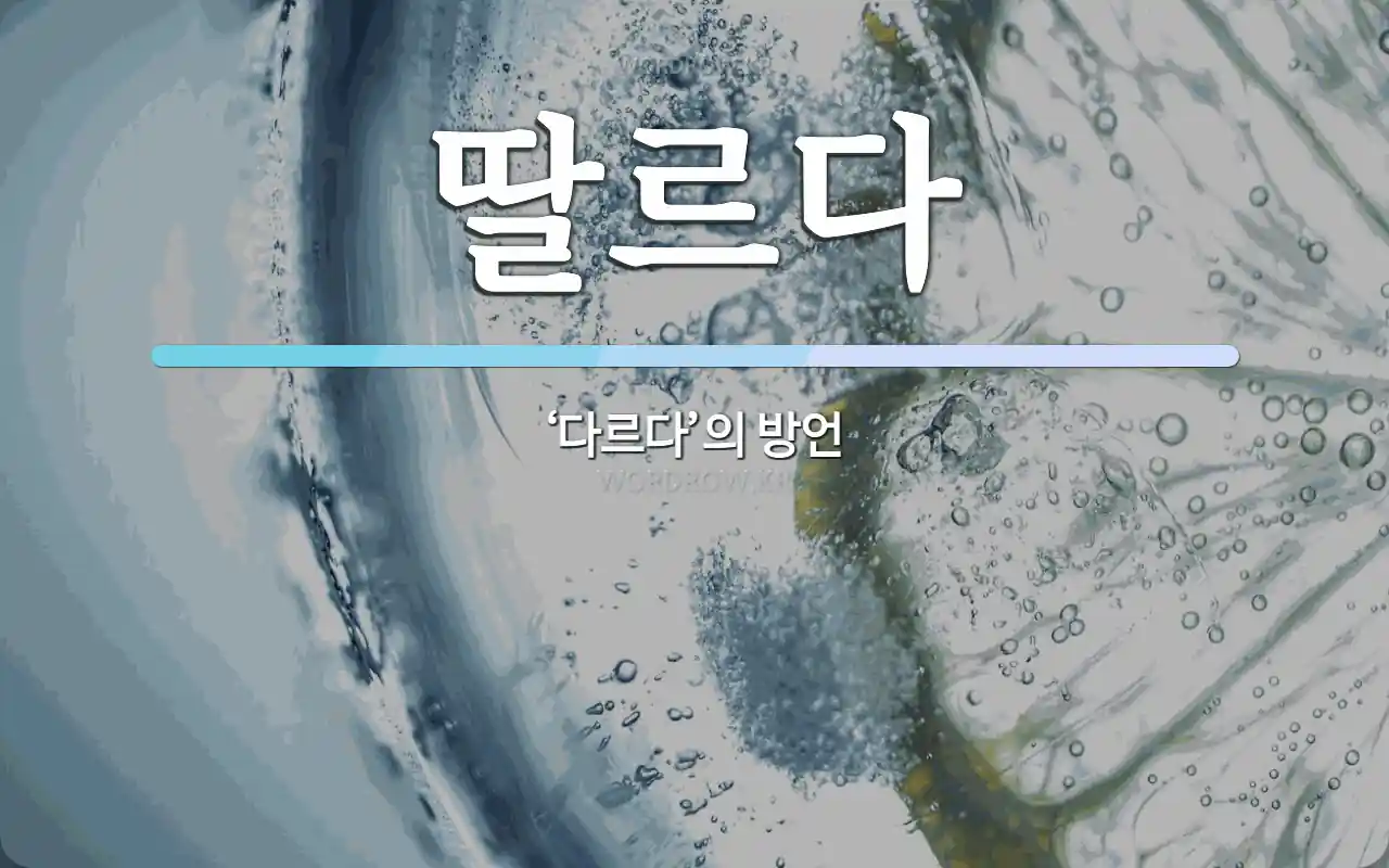딸르다 뜻 ‘다르다의 방언