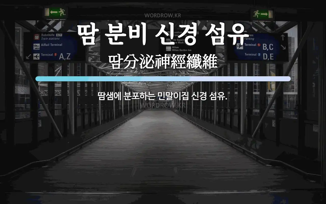 땀 분비 신경 섬유 뜻 땀샘에 분포하는 민말이집 신경 섬유
