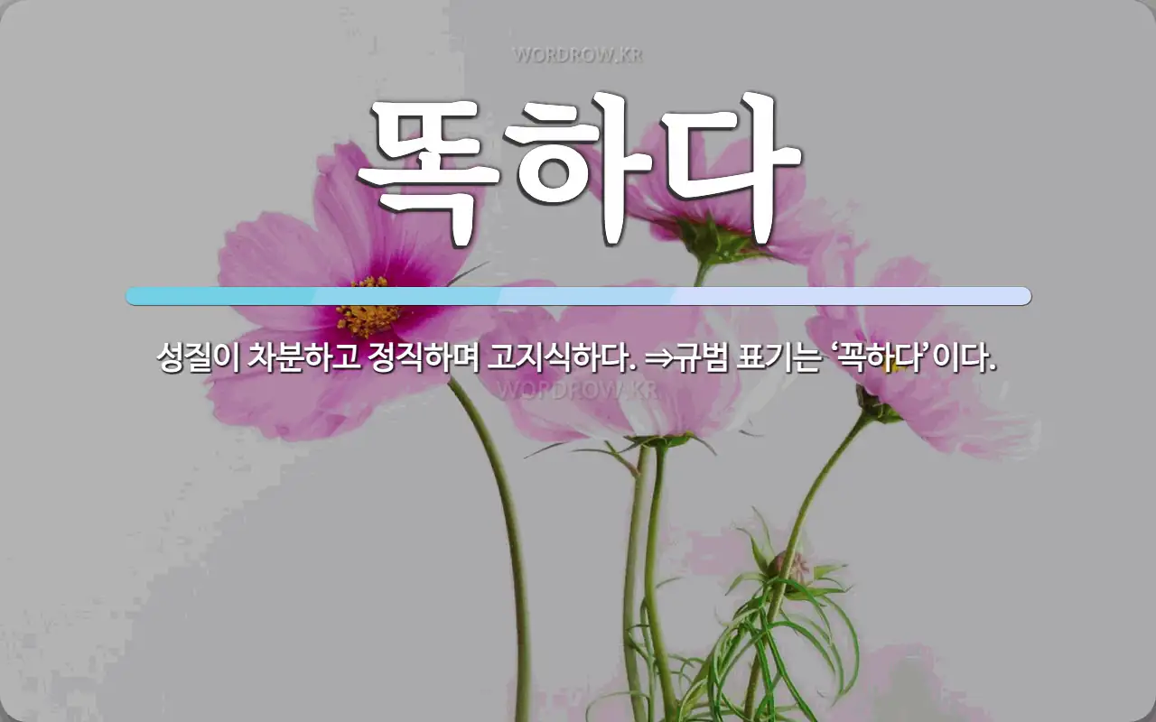 똑하다 뜻 성질이 차분하고 정직하며 고지식하다 ⇒규범 표기는 ‘꼭하다이다