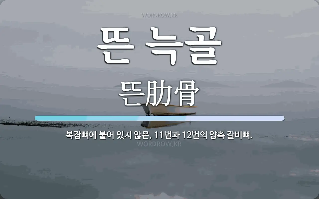 뜬 늑골 뜻 복장뼈에 붙어 있지 않은 11번과 12번의 양측 갈비뼈