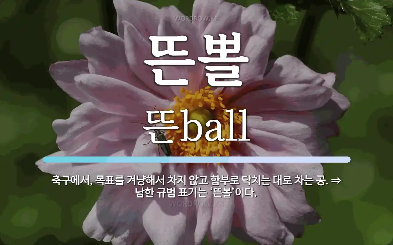 뜬뽈 뜻 축구에서 목표를 겨냥해서 차지 않고 함부로 닥치는 대로 차는 공 ⇒남한 규범 표기는