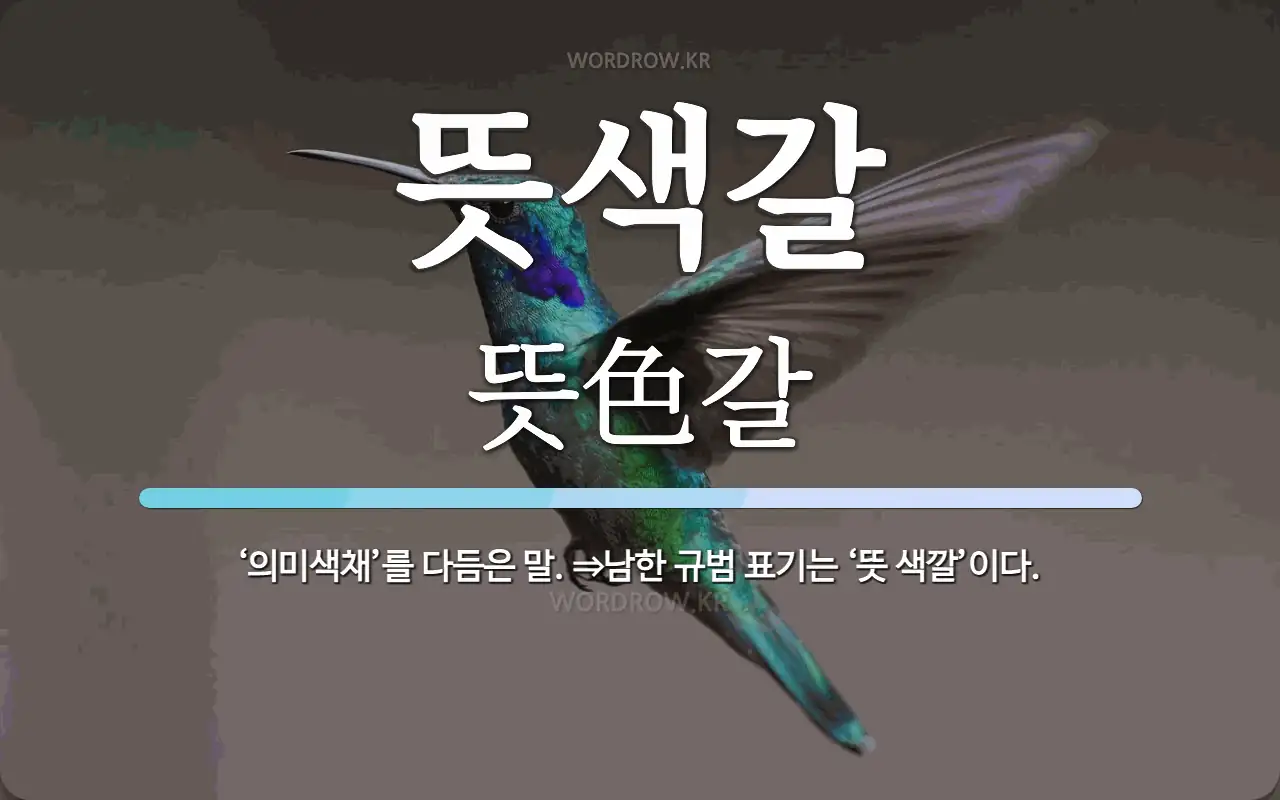 뜻색갈 뜻 ‘의미색채를 다듬은 말 ⇒남한 규범 표기는 ‘뜻 색깔이다