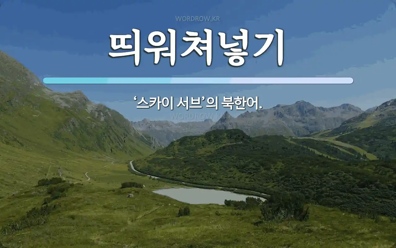 띄워쳐넣기 뜻 ‘스카이 서브의 북한어