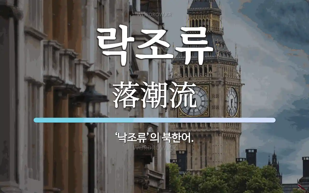 락조류 뜻 ‘낙조류의 북한어