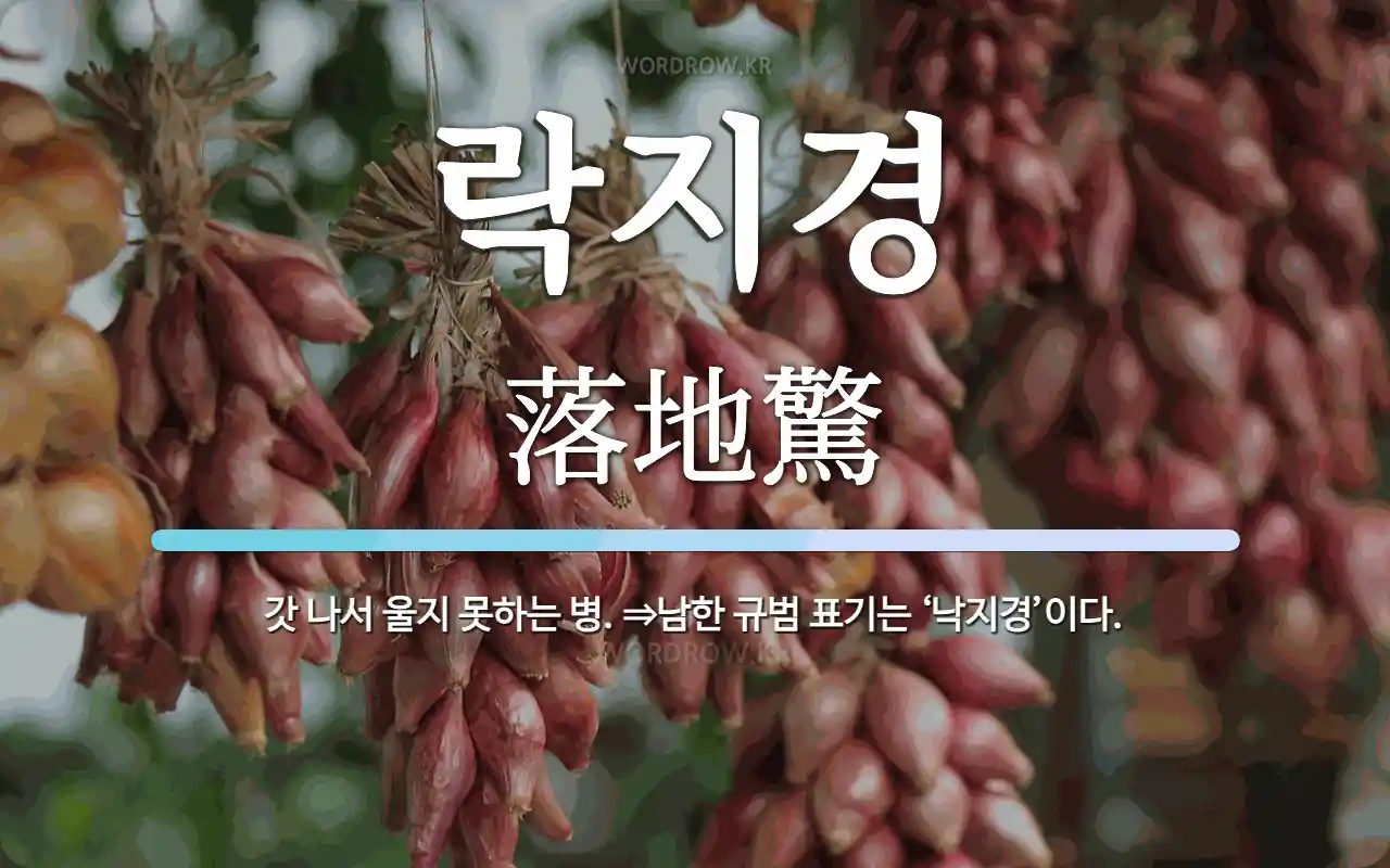 락지경 뜻 갓 나서 울지 못하는 병 ⇒남한 규범 표기는 ‘낙지경이다