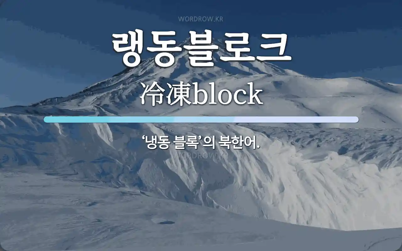 랭동블로크 뜻 ‘냉동 블록의 북한어