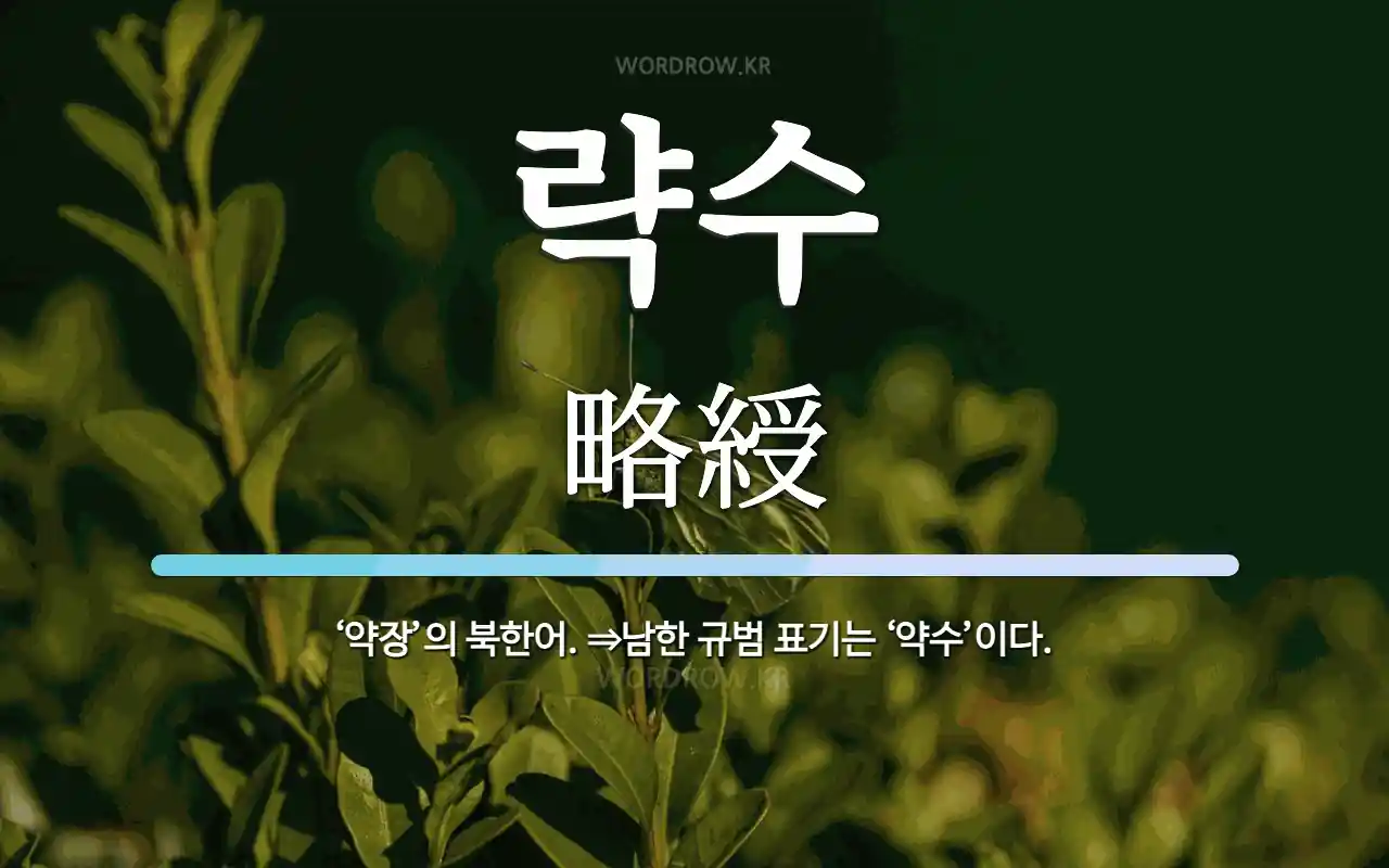 략수 뜻 ‘약장의 북한어 ⇒남한 규범 표기는 ‘약수이다