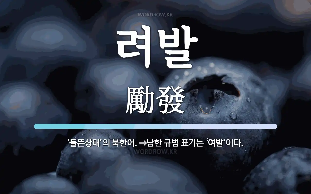 려발 뜻 ‘들뜬상태의 북한어 ⇒남한 규범 표기는 ‘여발이다