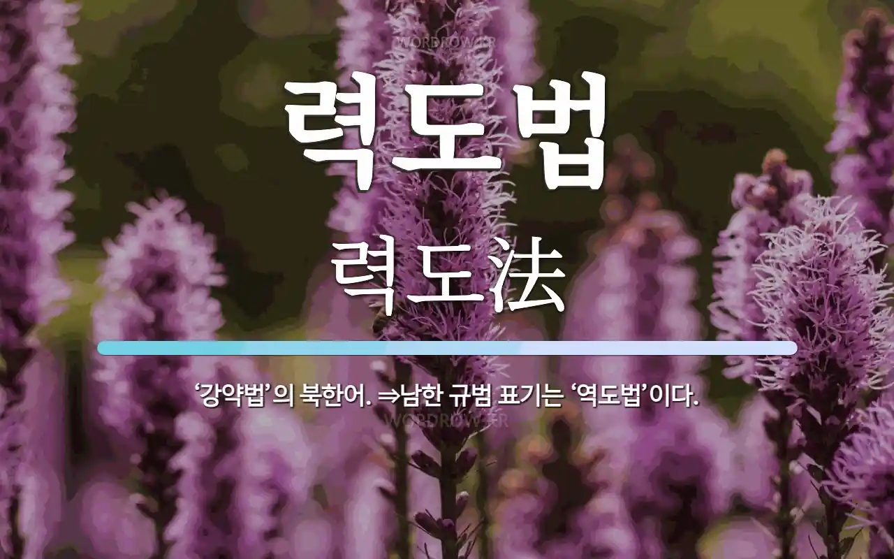력도법 뜻 ‘강약법의 북한어 ⇒남한 규범 표기는 ‘역도법이다