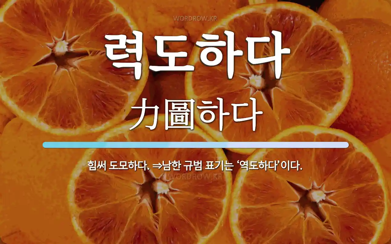 력도하다 뜻 힘써 도모하다 ⇒남한 규범 표기는 ‘역도하다이다