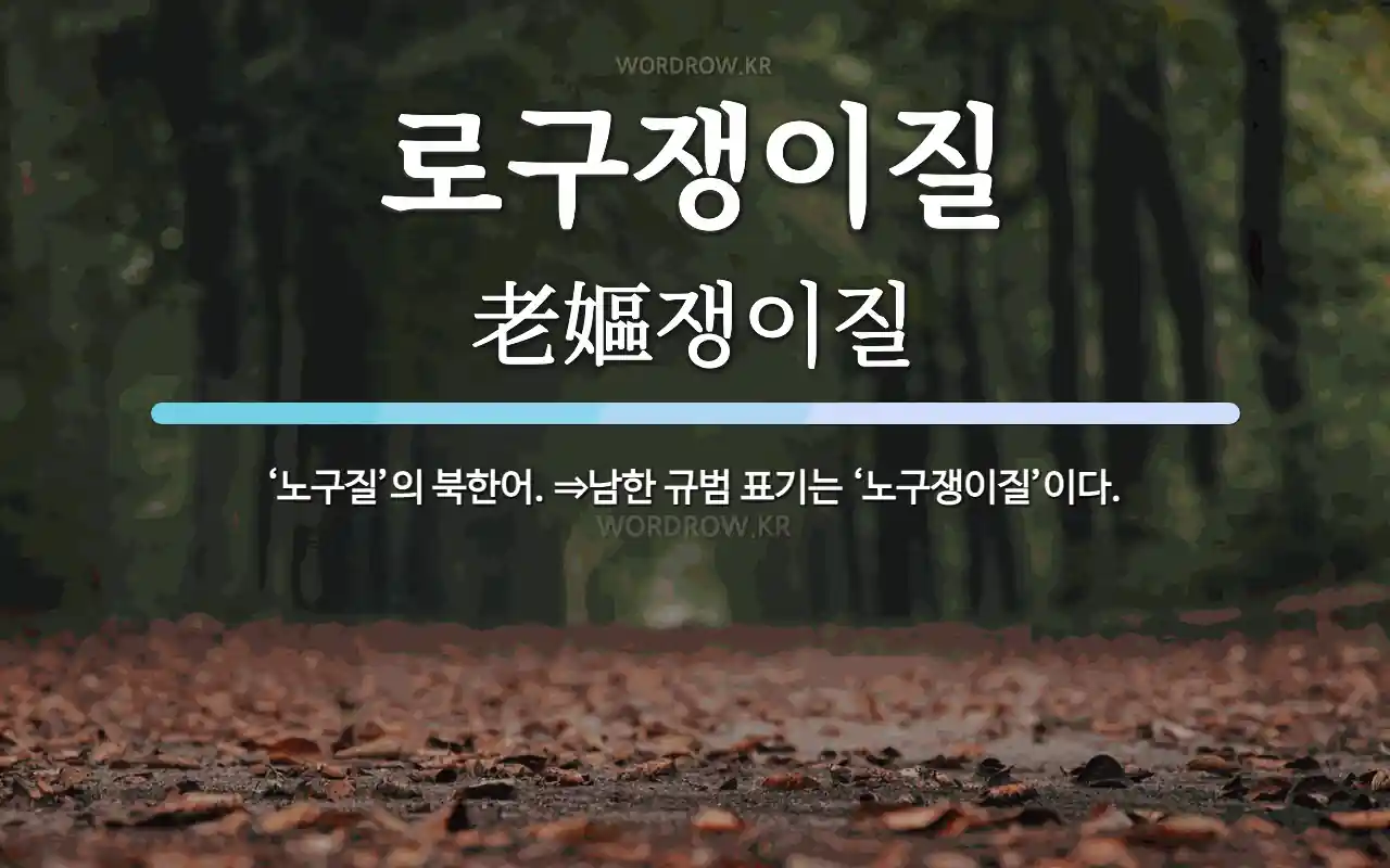 로구쟁이질 뜻 ‘노구질의 북한어 ⇒남한 규범 표기는 ‘노구쟁이질이다