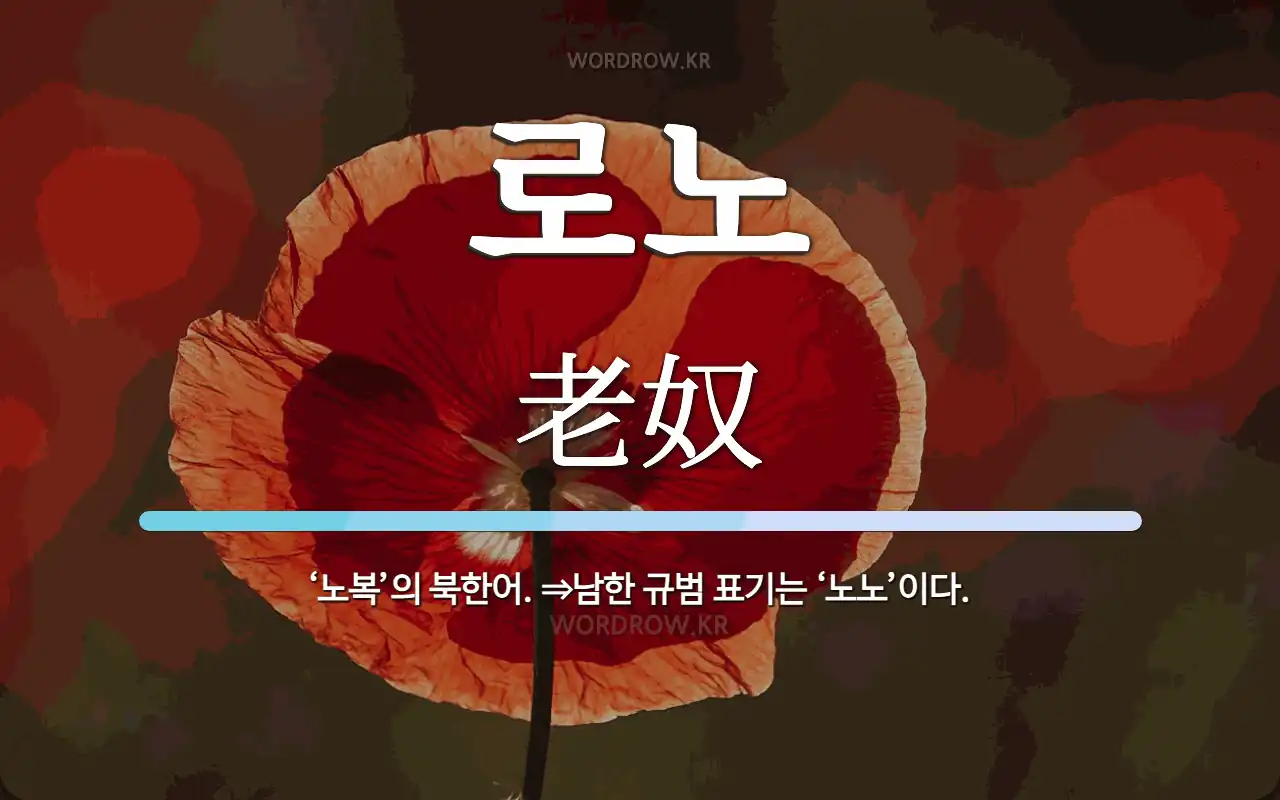 로노 뜻 ‘노복의 북한어 ⇒남한 규범 표기는 ‘노노이다