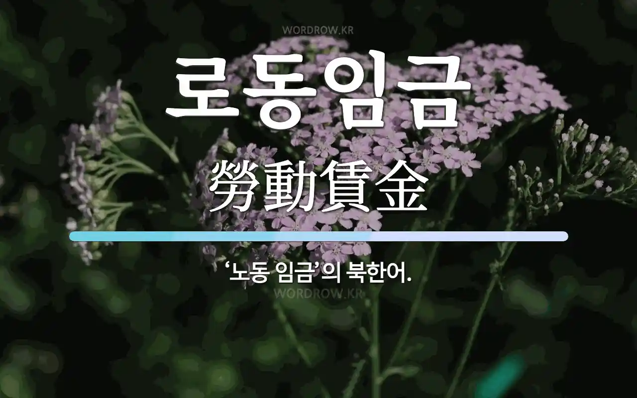 로동임금 뜻 ‘노동 임금의 북한어