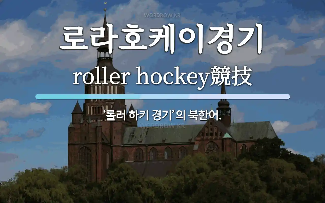 로라호케이경기 뜻 ‘롤러 하키 경기의 북한어
