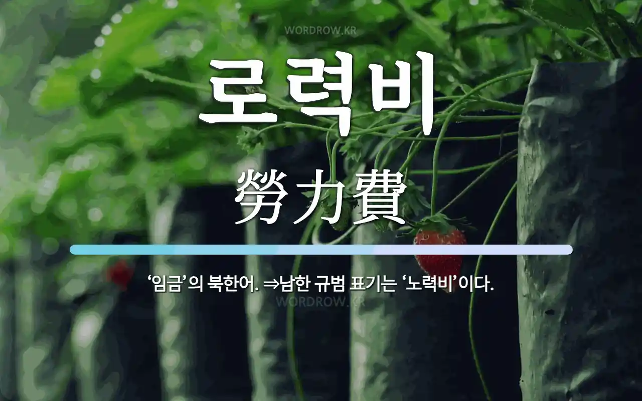 로력비 뜻 ‘임금의 북한어 ⇒남한 규범 표기는 ‘노력비이다
