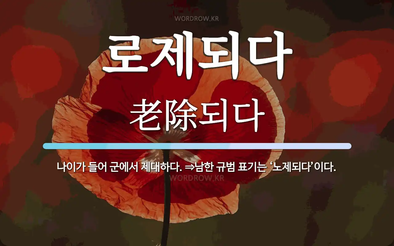 로제되다 뜻 나이가 들어 군에서 제대하다 ⇒남한 규범 표기는 ‘노제되다이다