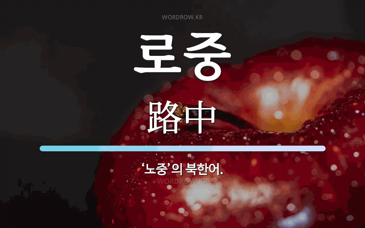 로중 뜻 ‘노중의 북한어