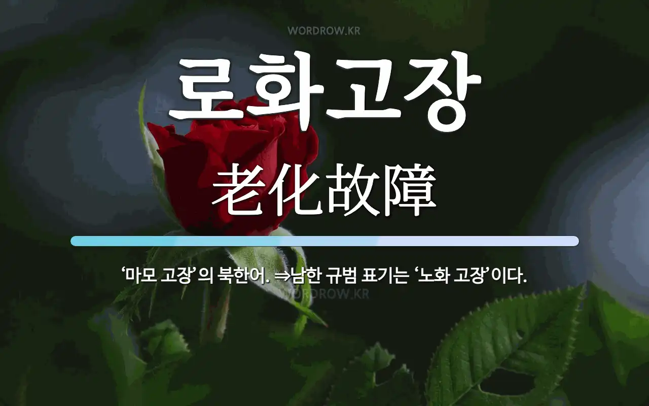 로화고장 뜻 ‘마모 고장의 북한어 ⇒남한 규범 표기는 ‘노화 고장이다