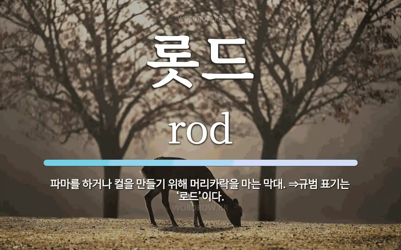 롯드 뜻 파마를 하거나 컬을 만들기 위해 머리카락을 마는 막대 ⇒규범 표기는 ‘로드이다