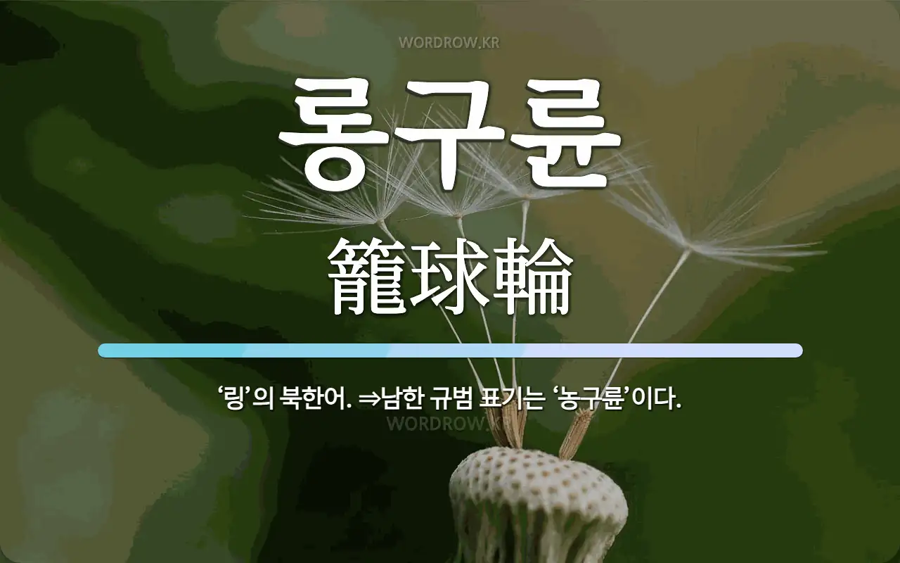 롱구륜 뜻 ‘링의 북한어 ⇒남한 규범 표기는 ‘농구륜이다