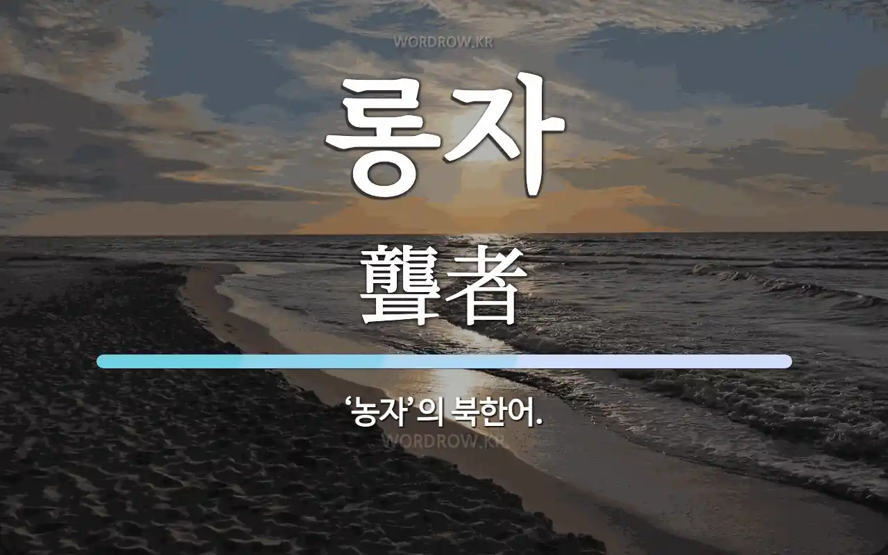 롱자 뜻 ‘농자의 북한어