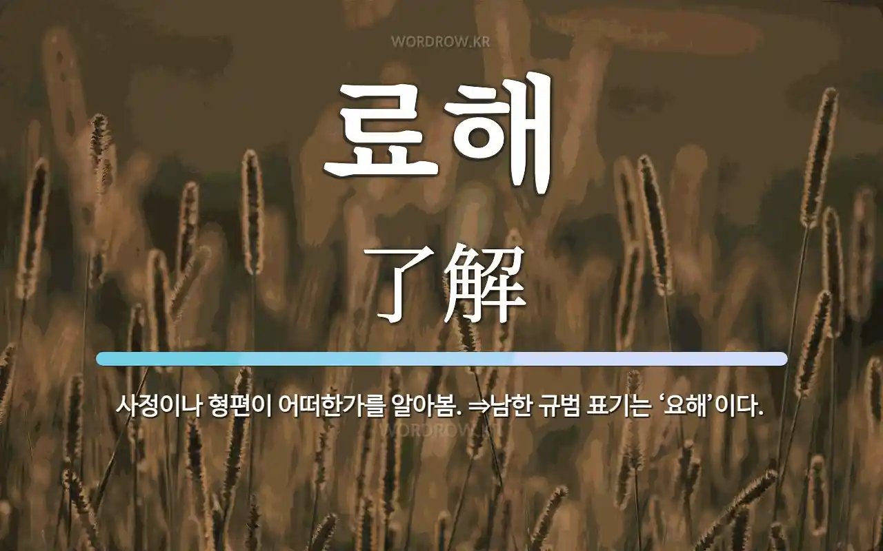 료해 뜻 사정이나 형편이 어떠한가를 알아봄 ⇒남한 규범 표기는 ‘요해이다